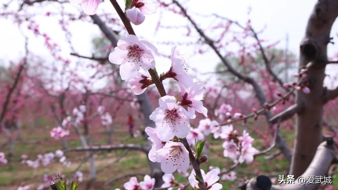 Here, have you checked in? - iMedia