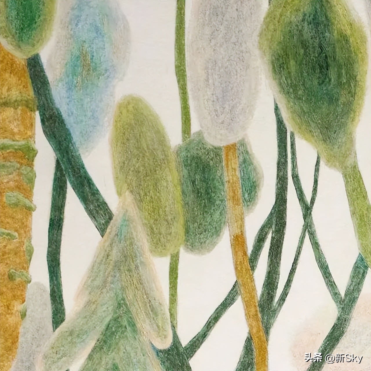 Jay Chou and Pu Shu - iMedia