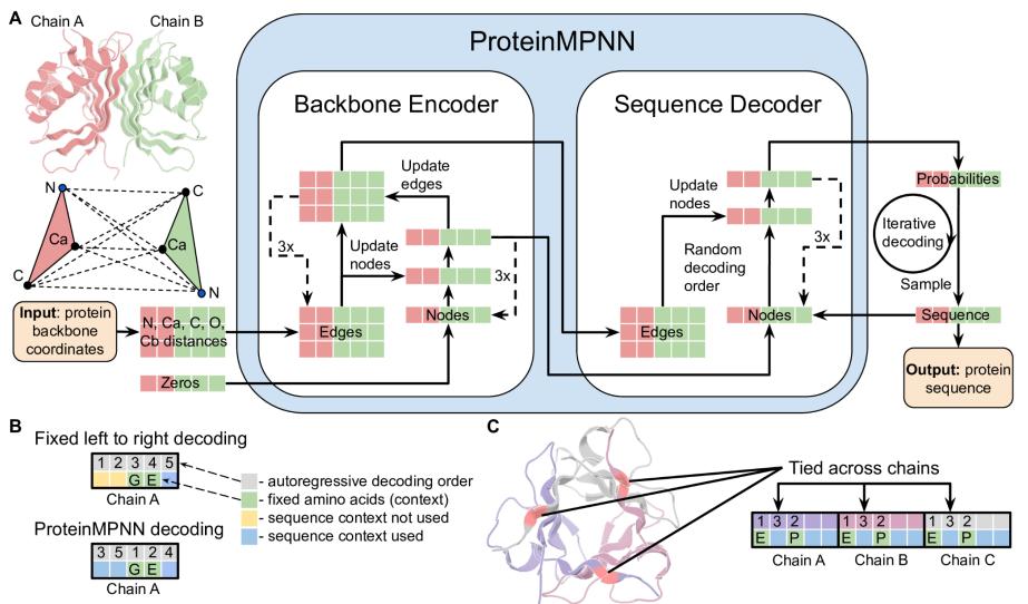 David Baker's team uses AI to design new proteins with great structural ...