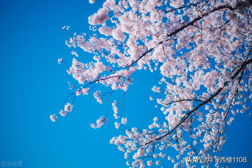 A Tale of Two Heroes, a review of the road to the top of Changning and ...