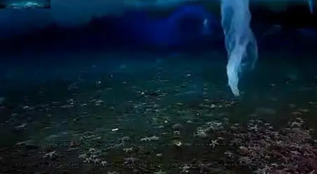 Terrifying underwater 'Icicles of Death' - iNEWS