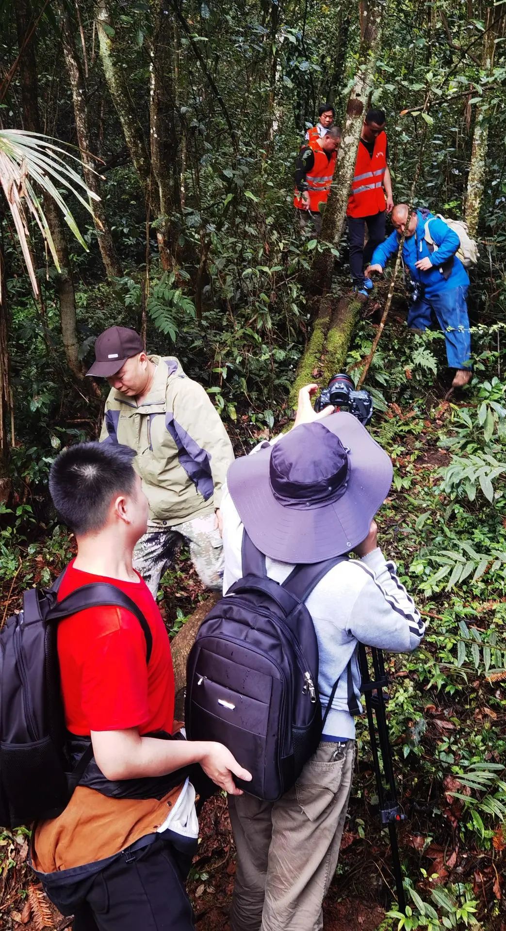 Take you to explore Gulin and tell the story of Huangjing Laolin people ...