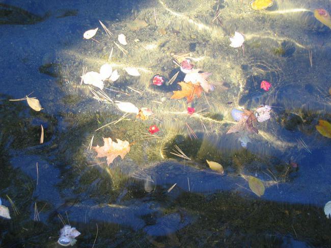 How to Spot Bad Science - iNEWS