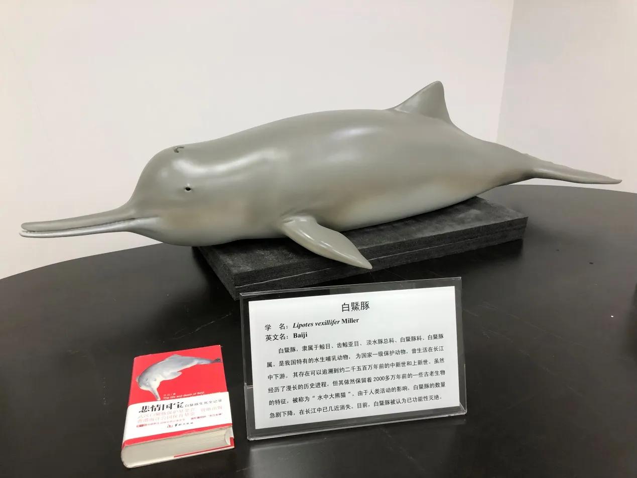 Functionally Extinct Aquatic Animal - "Baiji Dolphin" Stamp (2) - iNEWS