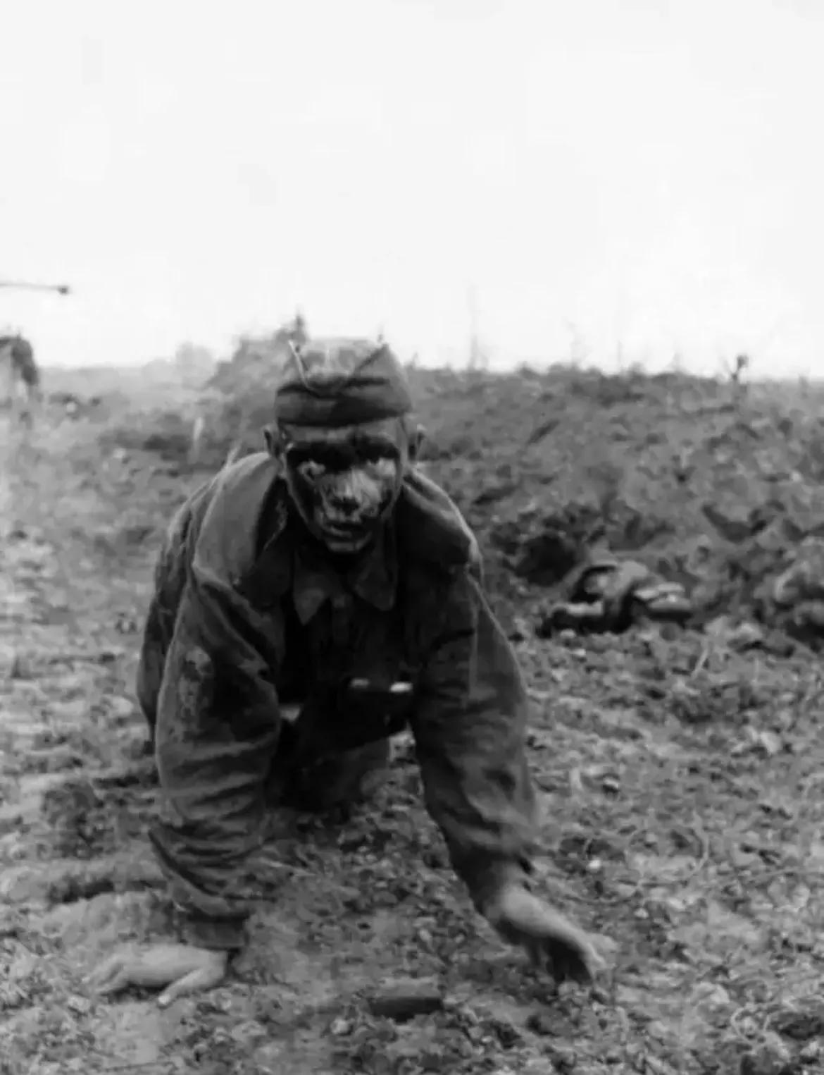 How much sacrifice did the Soviet Union make in WWII?40 million ...