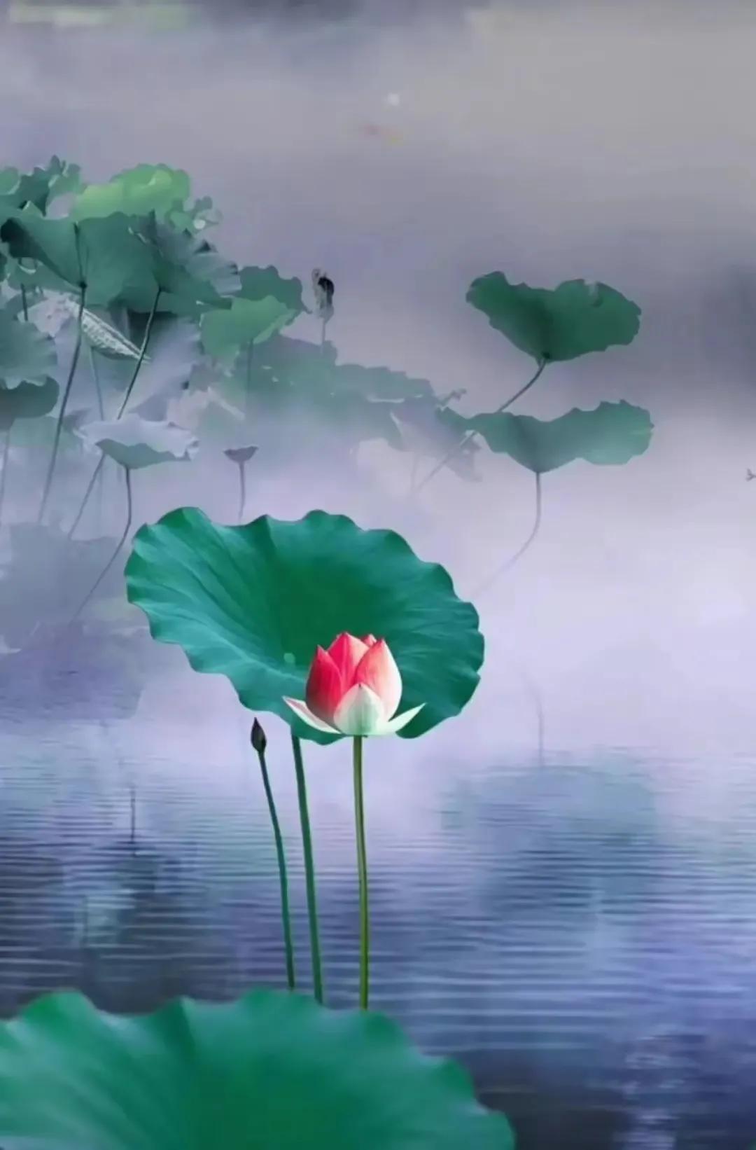 Meng Haoran: A poem not only expresses the meaning of Zen, but also is ...