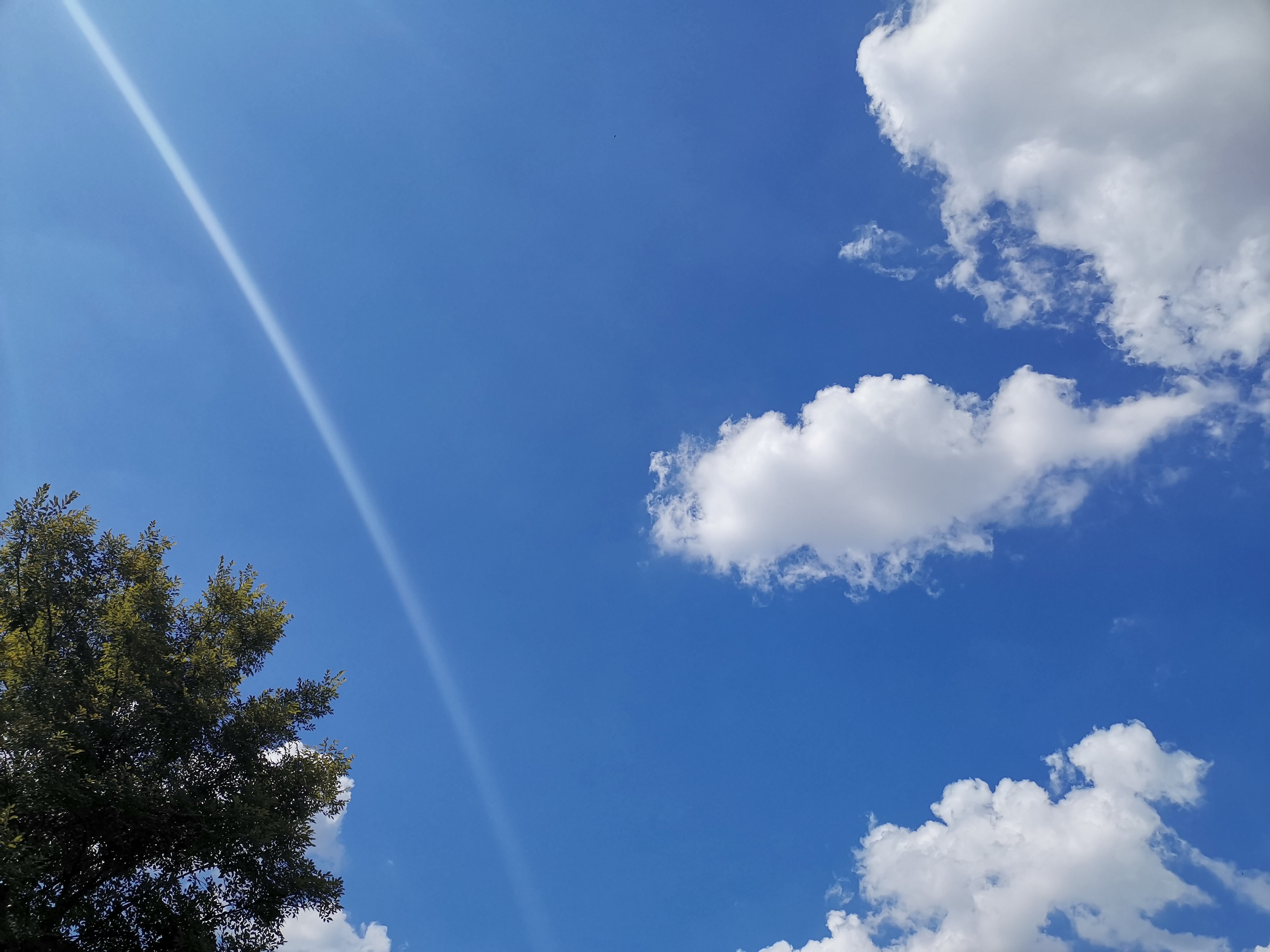 The original five-character rhythm poem "Watching the Sea without Waves ...