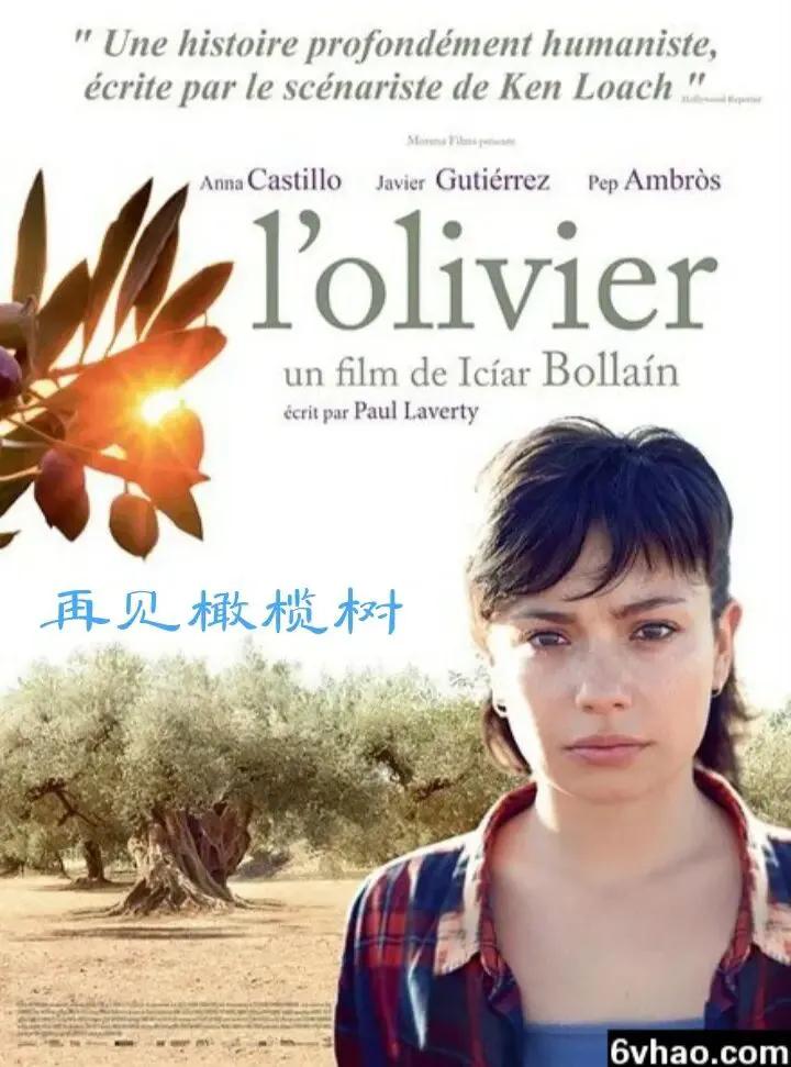 Spanish movie "Olive Tree" Chinese poster - iMedia