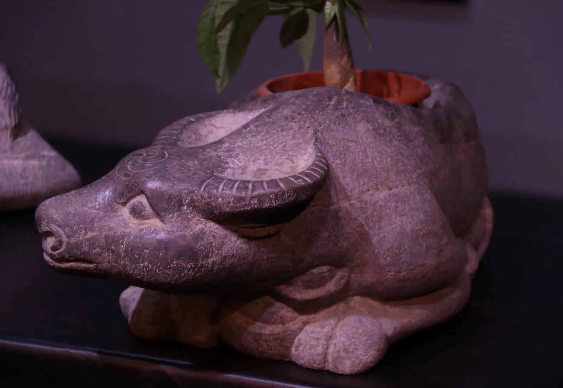 A pair of bluestones in a stone cow basin - iNEWS