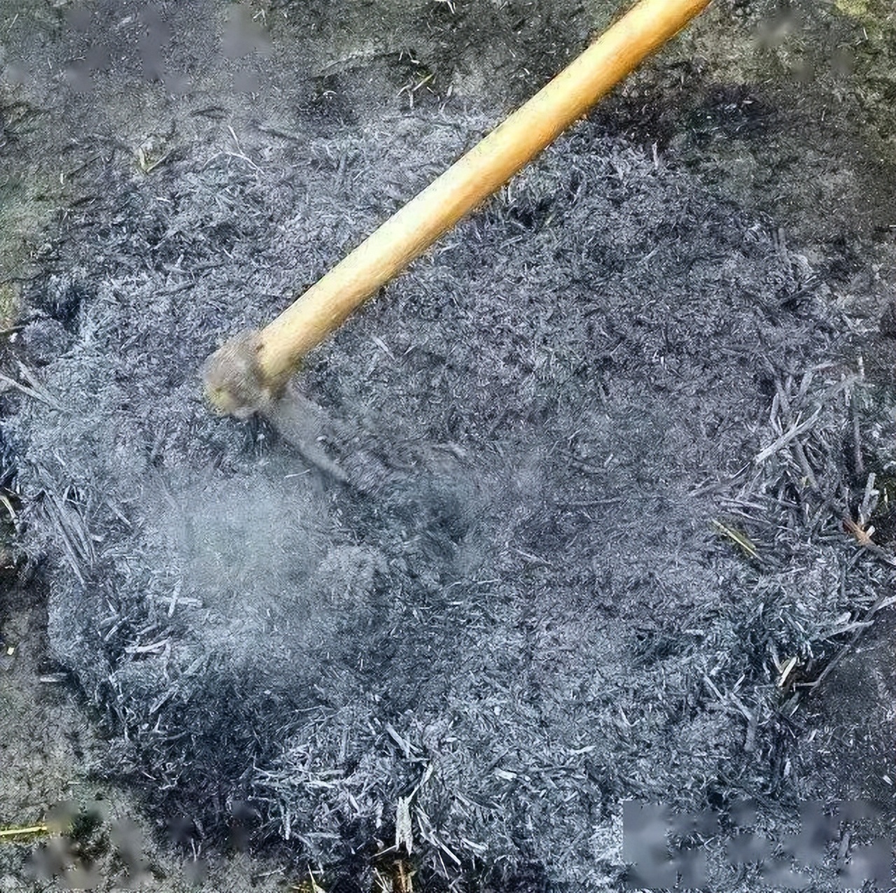 Cold Knowledge of History: The Ancients Take a Bath and Wash Clothes ...