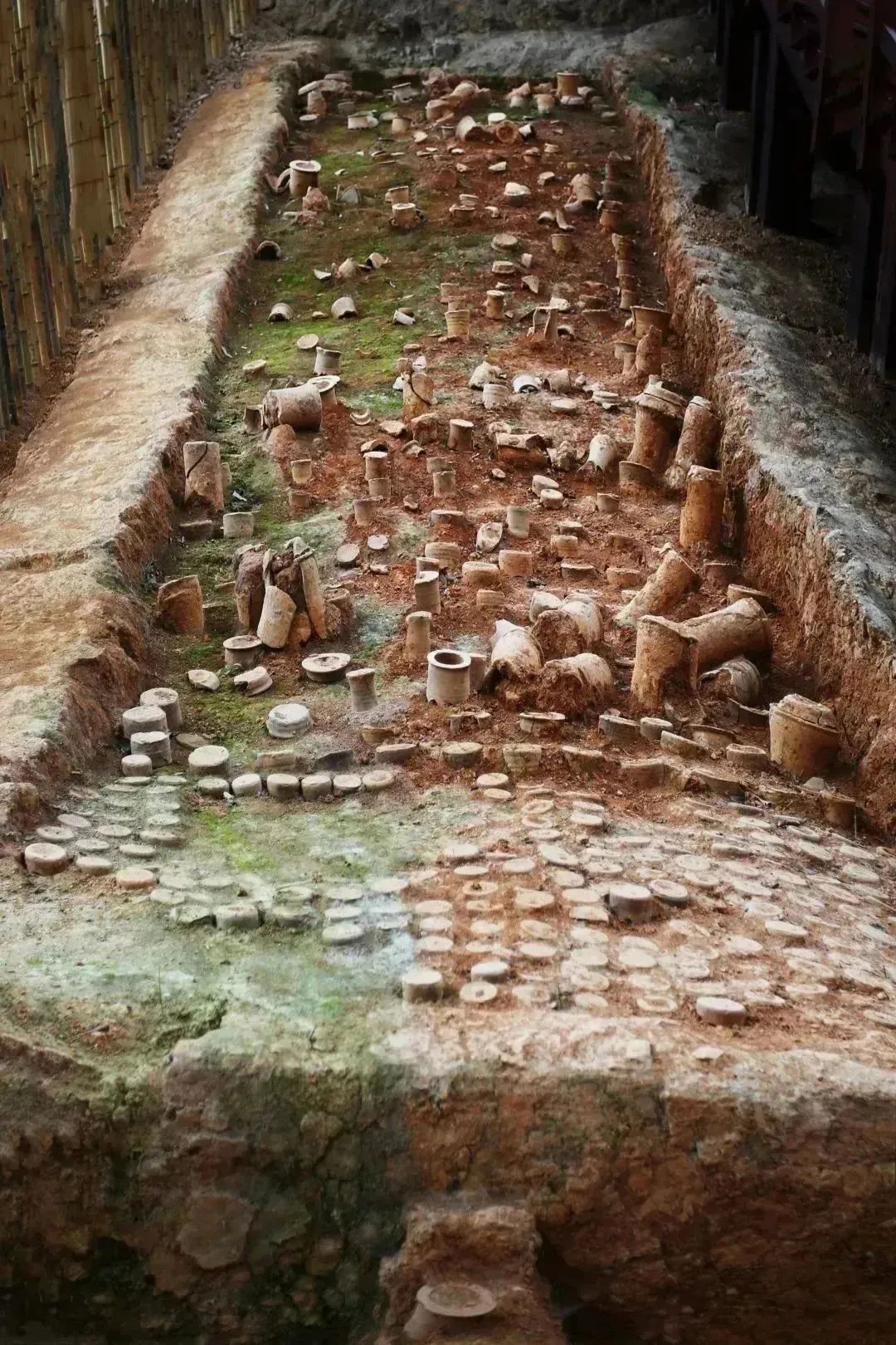 Can't hide anymore! Choose one of these beautiful early summer travel ...