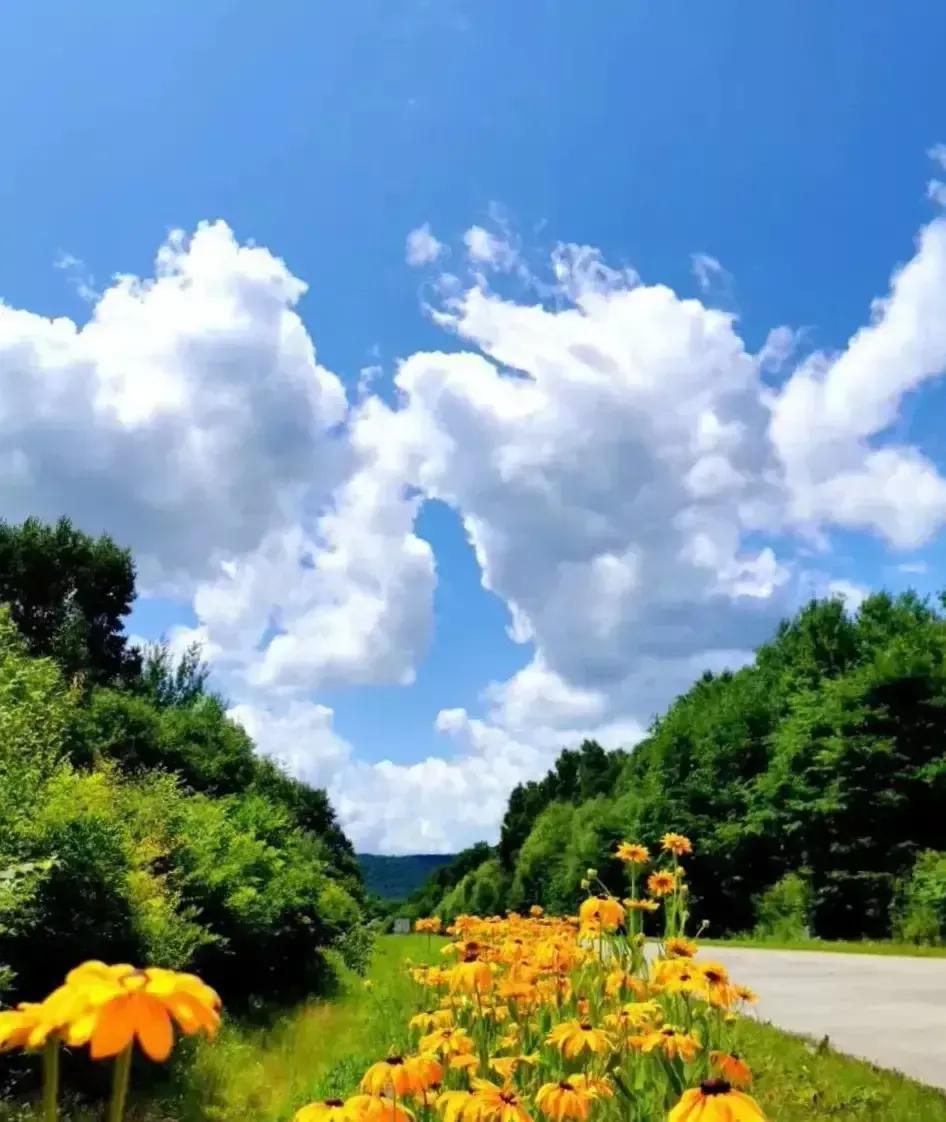 "A Most Beautiful Headline Poetry Couplet" - iMedia