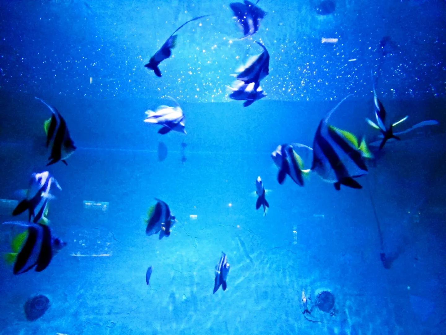 Changsha, the beauty left in memory - iMedia