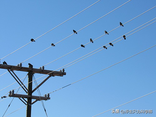 Why don't electrons run out and wires degrade? - iNEWS