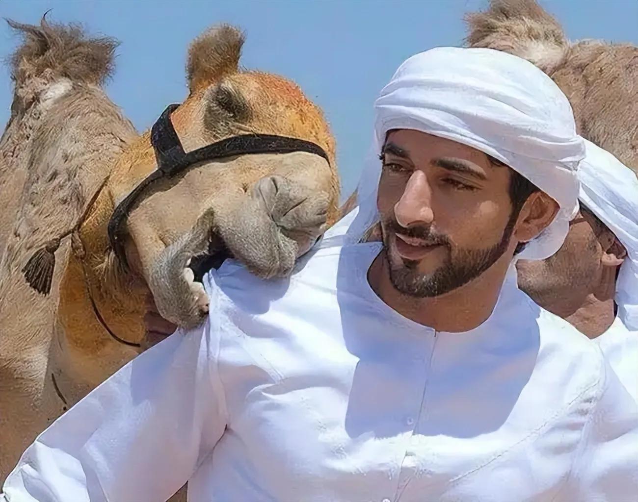 Dubai Prince Hamandan: Heir to Dubai's trillion-dollar empire, how ...