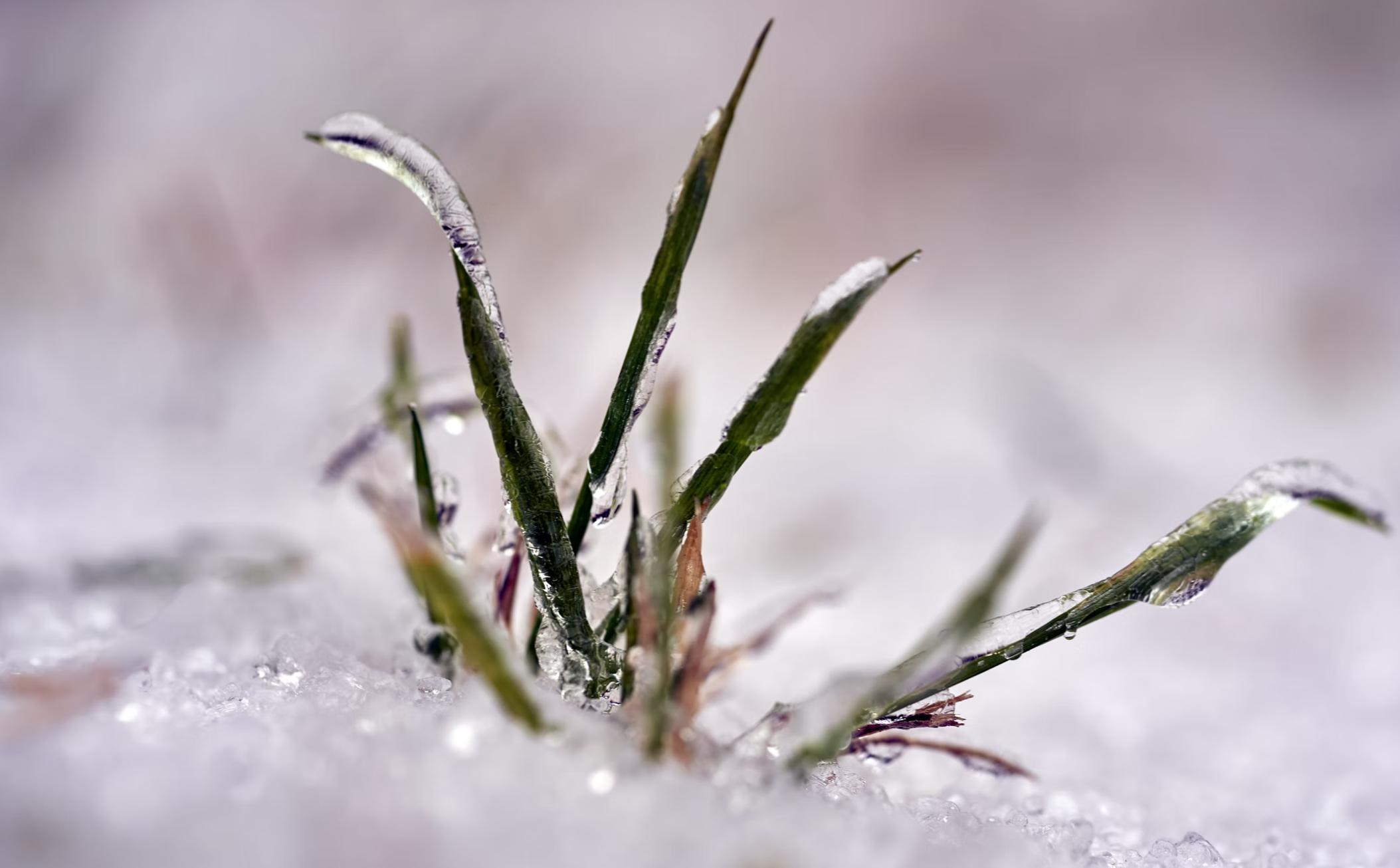 Very cunning, people can't see through the constellation, they can be ...