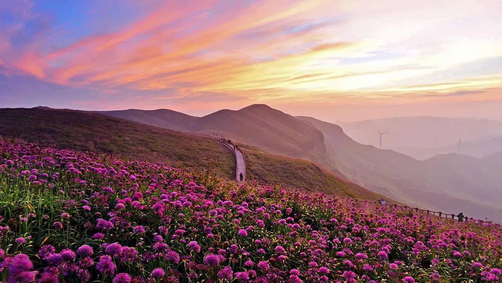 Countdown to 11 days!Mid-Autumn Festival is planning!13 fun and not ...