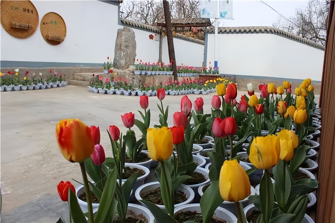 Take a tour of the Tongcheng Mountains and Rivers and enjoy the ...