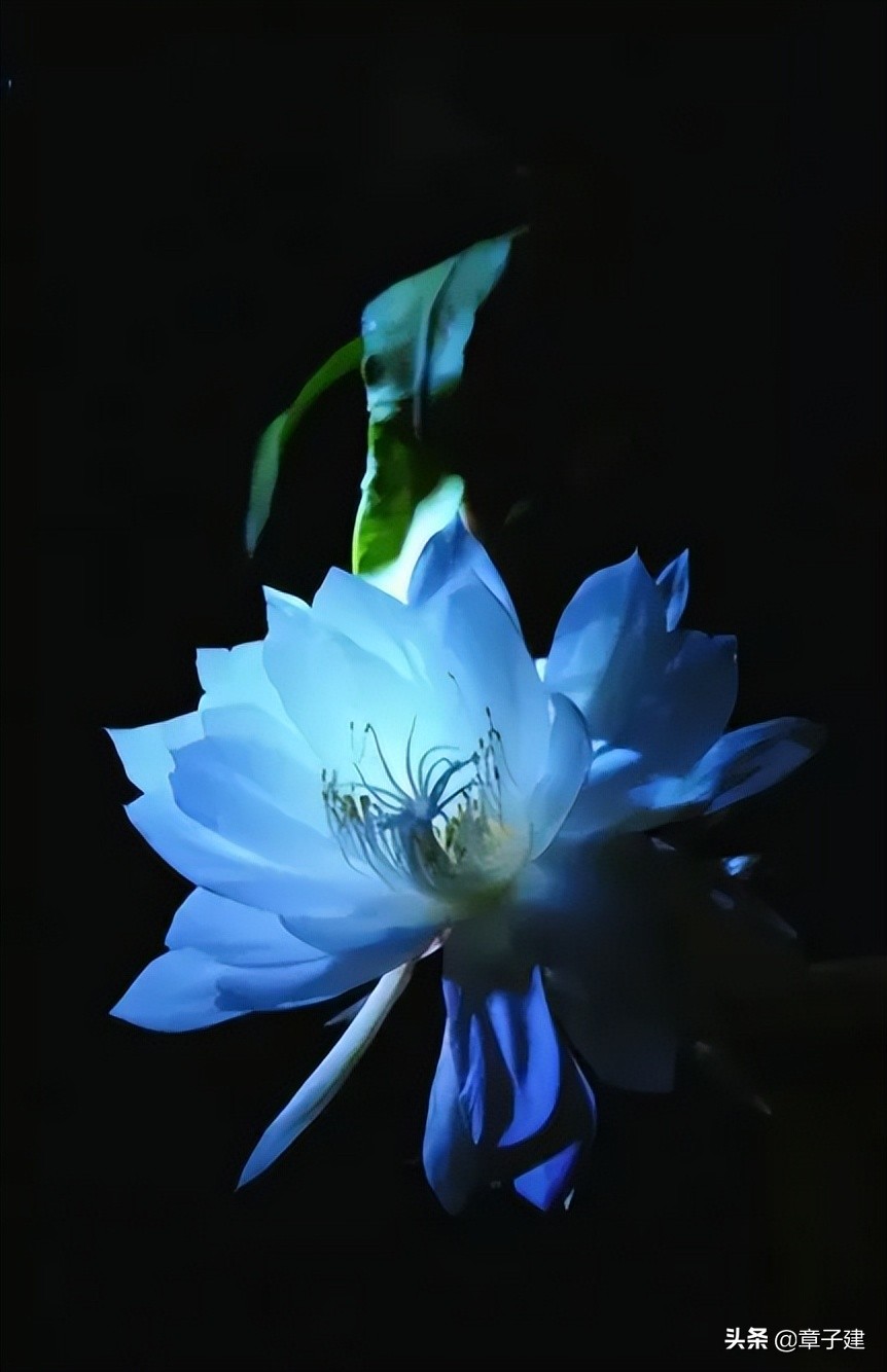 "He Qiu", "Qijue. Sucking Tanxiang", "Jianyu Lanting", "Seven Laws ...