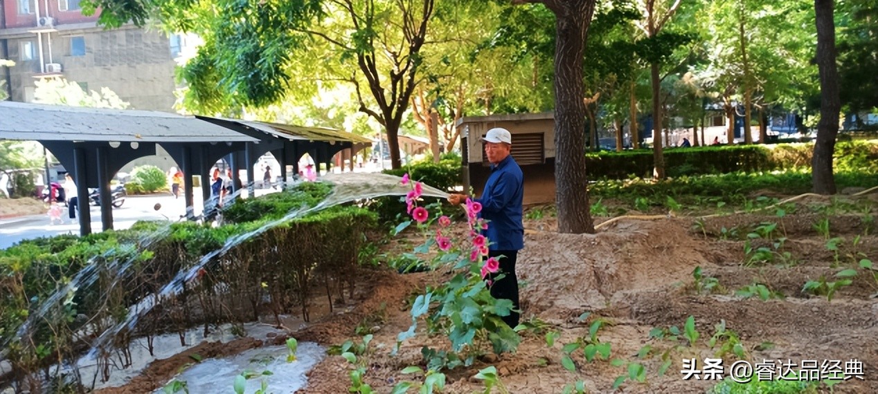 The acid ball is gradually recovering, and it is comfortable to grow up ...