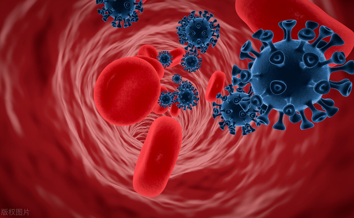 Lard is a cardiovascular and cerebrovascular killer? Is eating lard ...