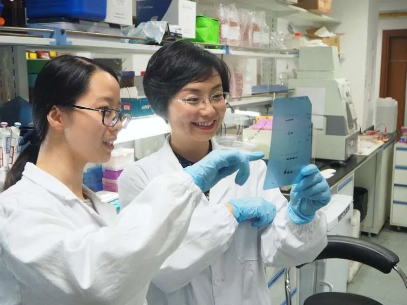 [Our Lord Lan]Chen Lingling: Expanding the Unknown Frontier of the RNA ...