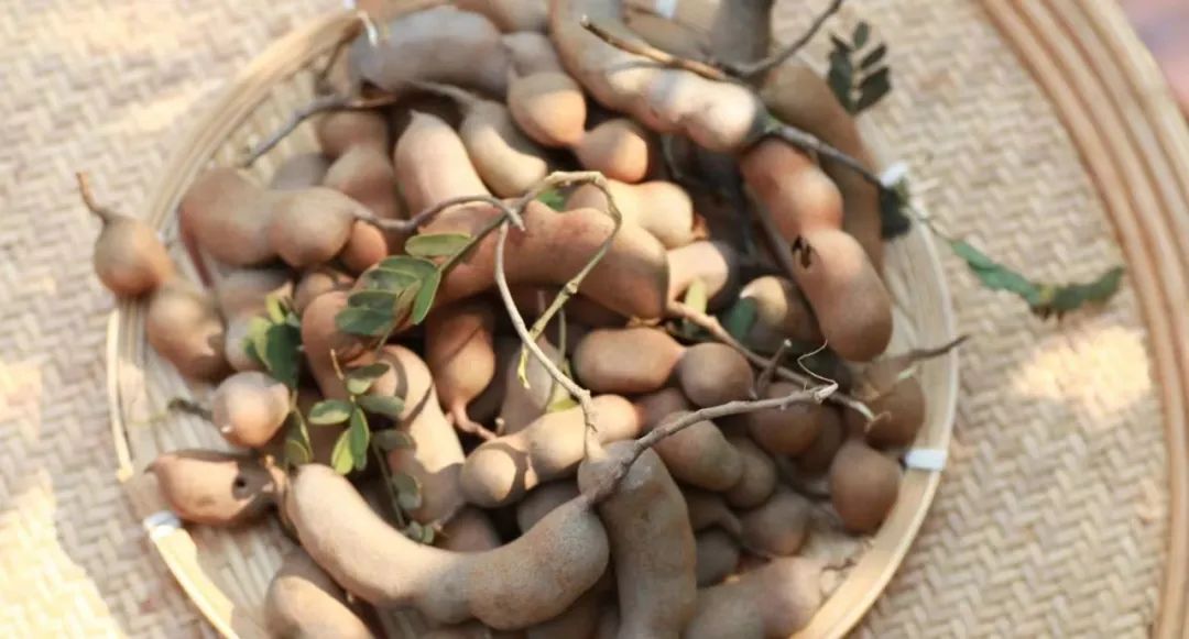 Top 10 Exotic Fruits in Yunnan - iMedia