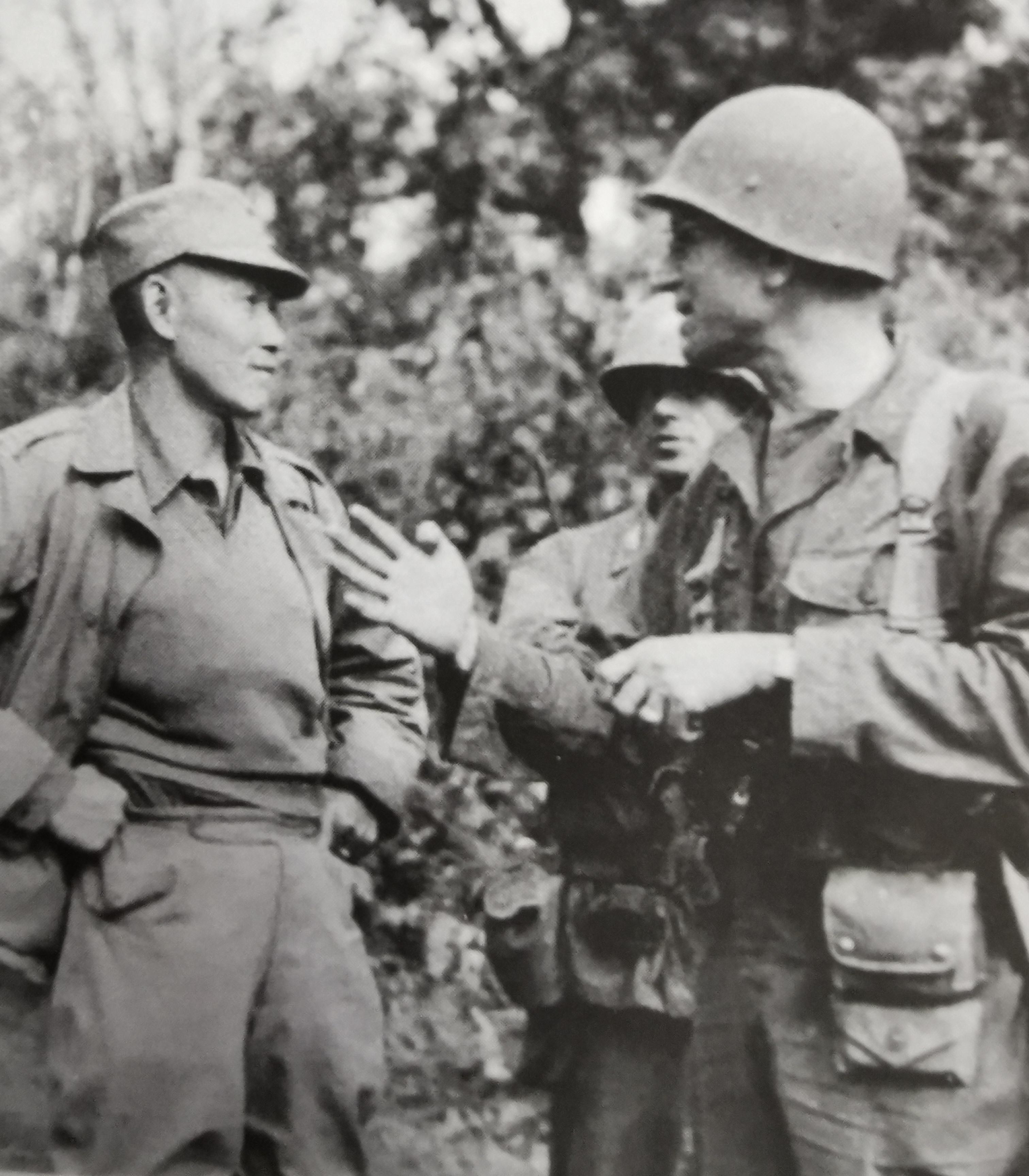 The new 38th Division rescued 7,000 British troops and then retreated ...