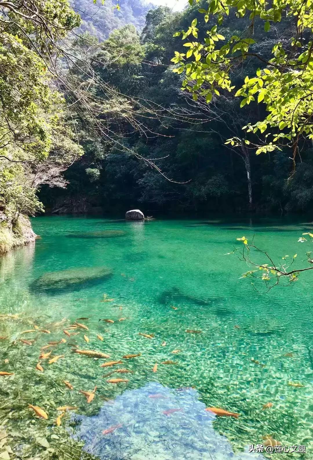 Asking Questions——Reading Wang Lingxuan's "How Fish Swim" - iNEWS