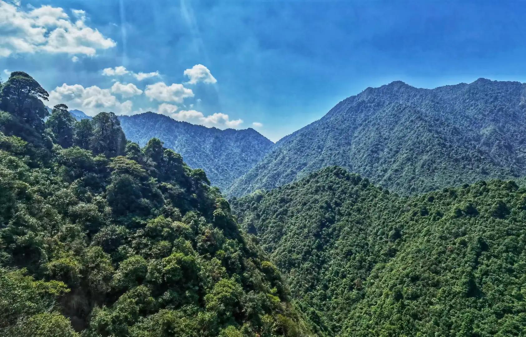 "Linjiang Immortal" Climbing Dajue Mountain - iNEWS