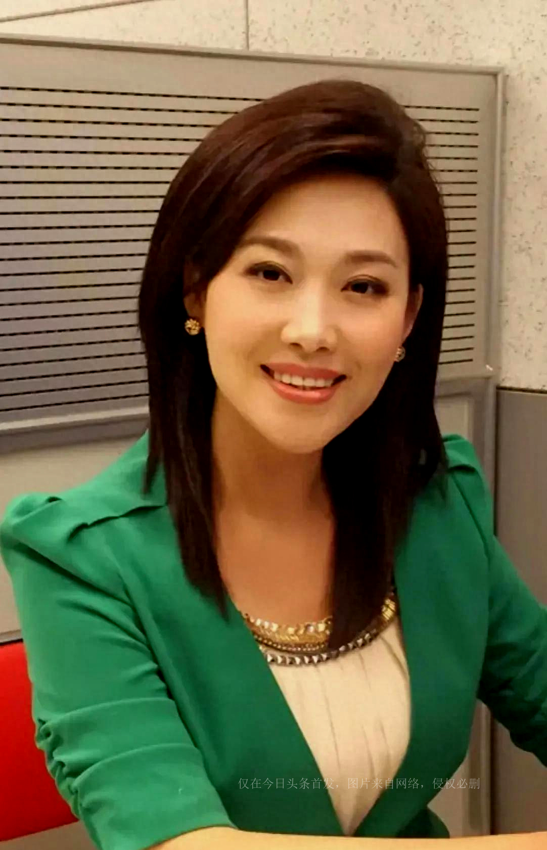 CCTV anchor Zheng Li: She is not Zhao Pu's wife, her husband is an ordinary person and has ...
