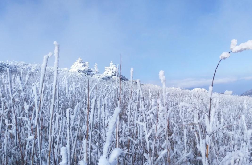 Let's enjoy the snow in Qinling in December - iNEWS