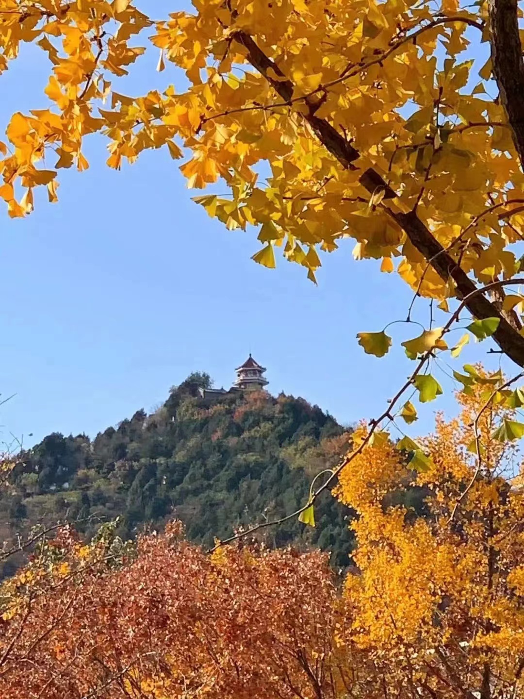 The layers of forest are dyed in Baiwang Mountain and the leaves are ...