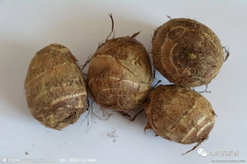 In autumn, the taro in my hometown is sweet - iNEWS