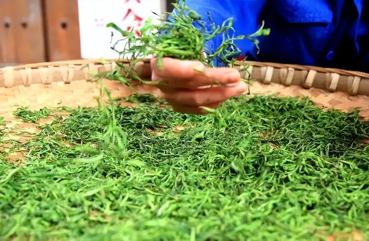 "Audio Reading Tibetan Tea" 32 Processes - Tibetan Tea Skills (1) - iNEWS