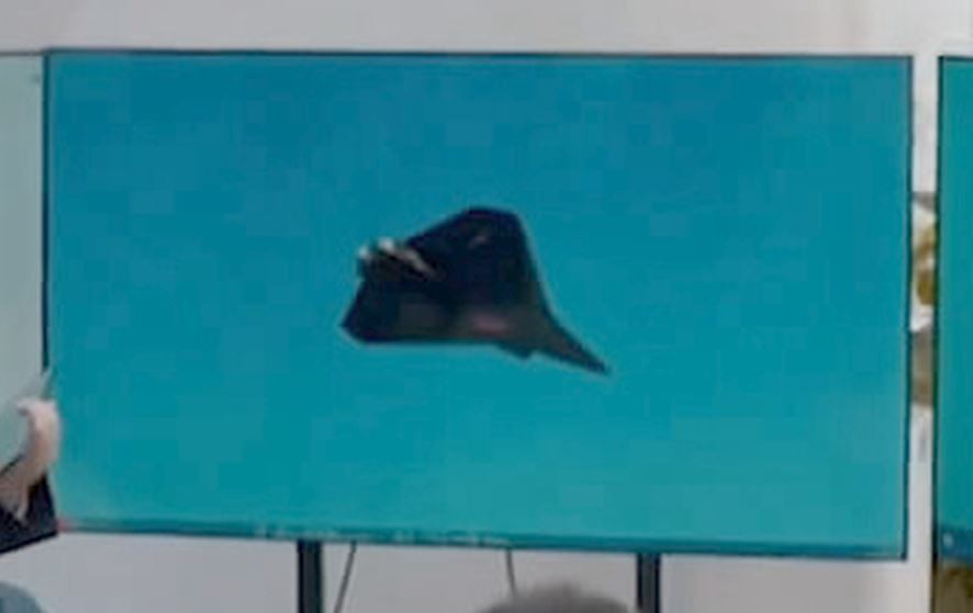 A brand new tailless fighter made the United States realize that China ...