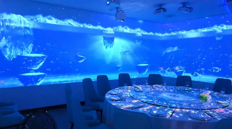 Taste food with eyes: holographic restaurants lead the future ...