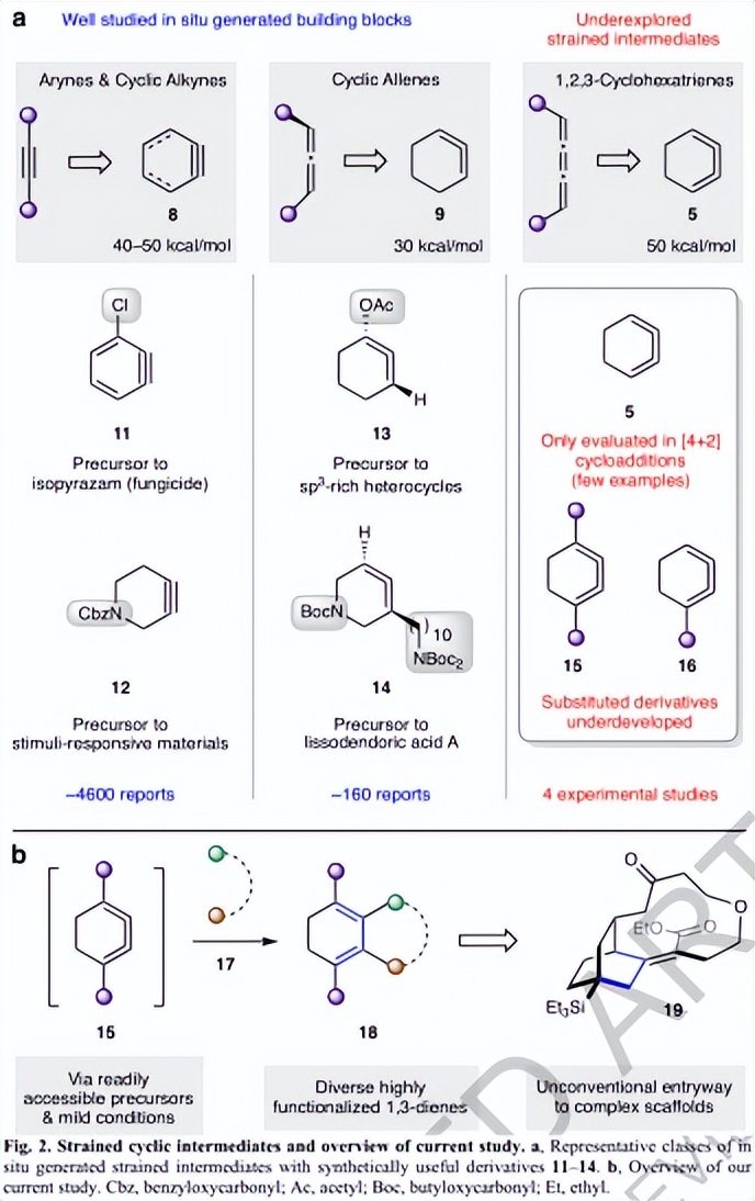 Strain-promoted reactions of 1,2,3-cyclohexatriene and its derivatives - iNEWS