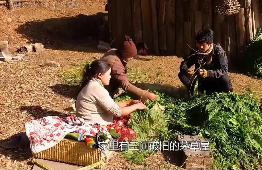 How to Spend a Polyandrous Night: Exotic Customs - iMedia