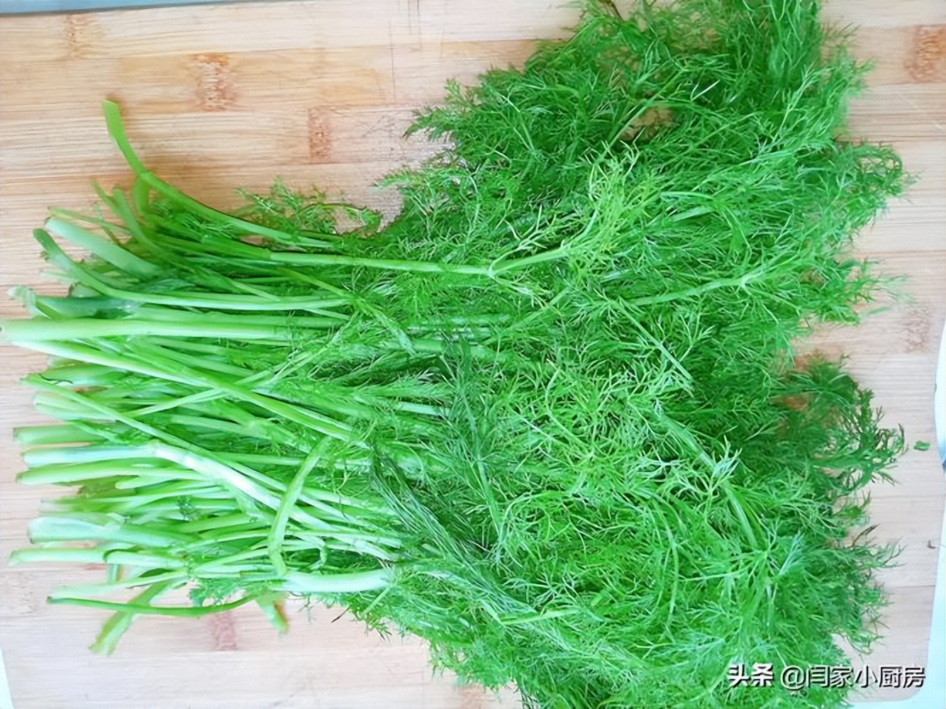 The 3 yuan fennel sprouts are easy to prepare without frying or stewing ...