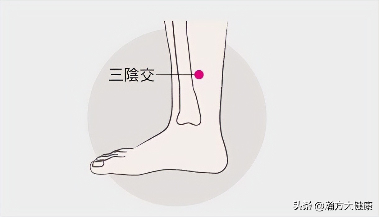 "Spleen deficiency and all diseases invade", two acupoints make you ...