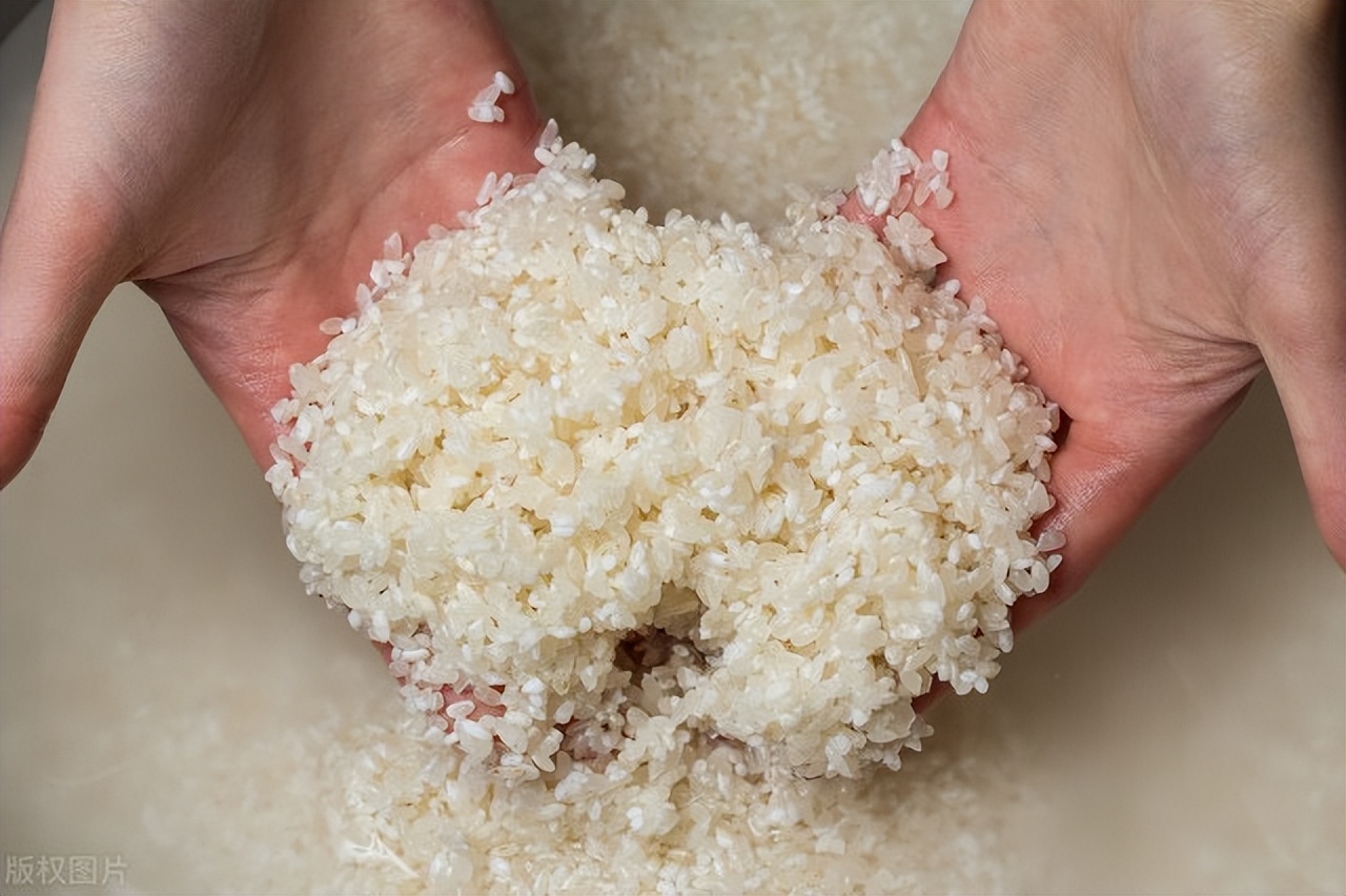 How to cook brewed rice (2) - iMedia
