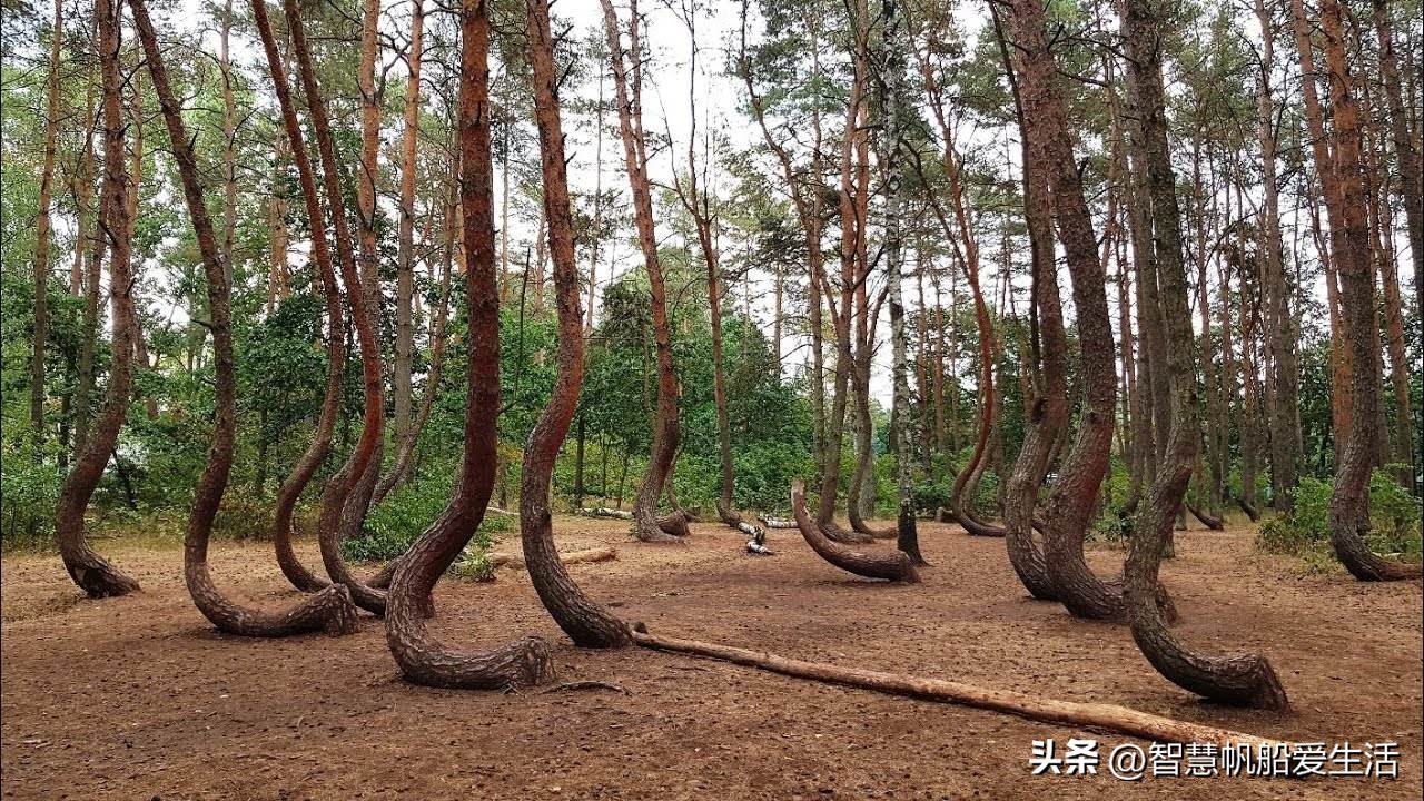[Visual feast] You can't believe that these magical natural phenomena ...