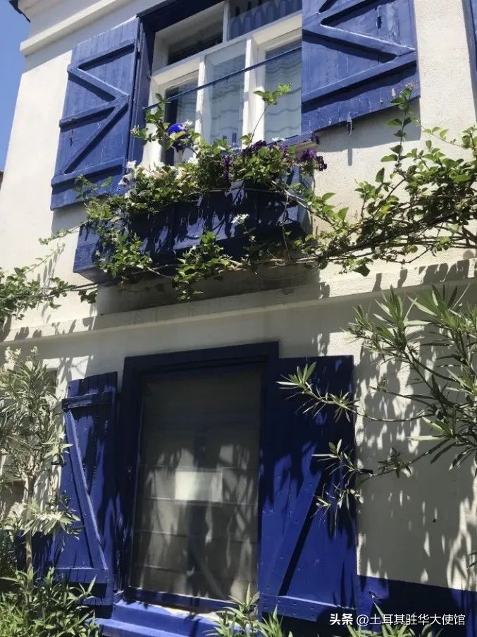 Seferihisar: The Vitality of the Aegean Sea and the Peace of Turkey's ...