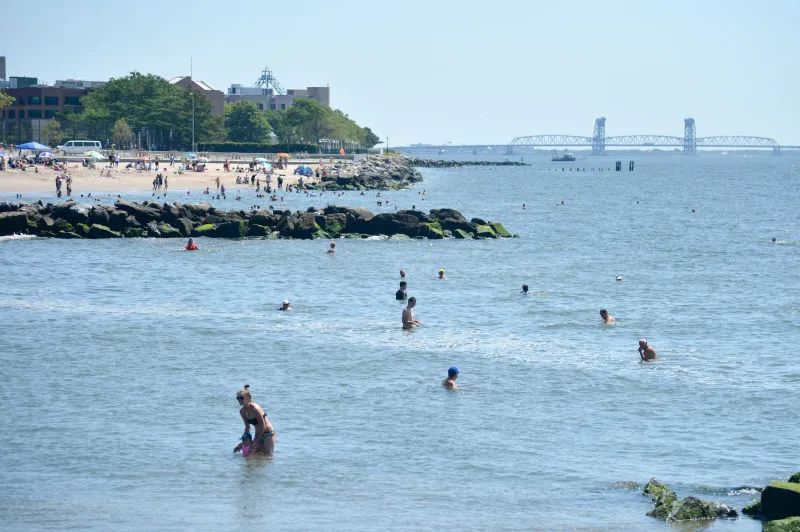 The largest "toilet" in history, 60% of New York's beaches are polluted ...