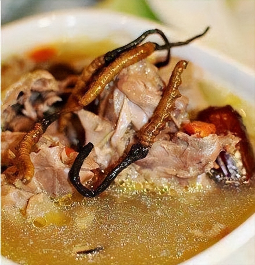 Stewed partridge with Cordyceps sinensis, healthy, fast and nutritious ...