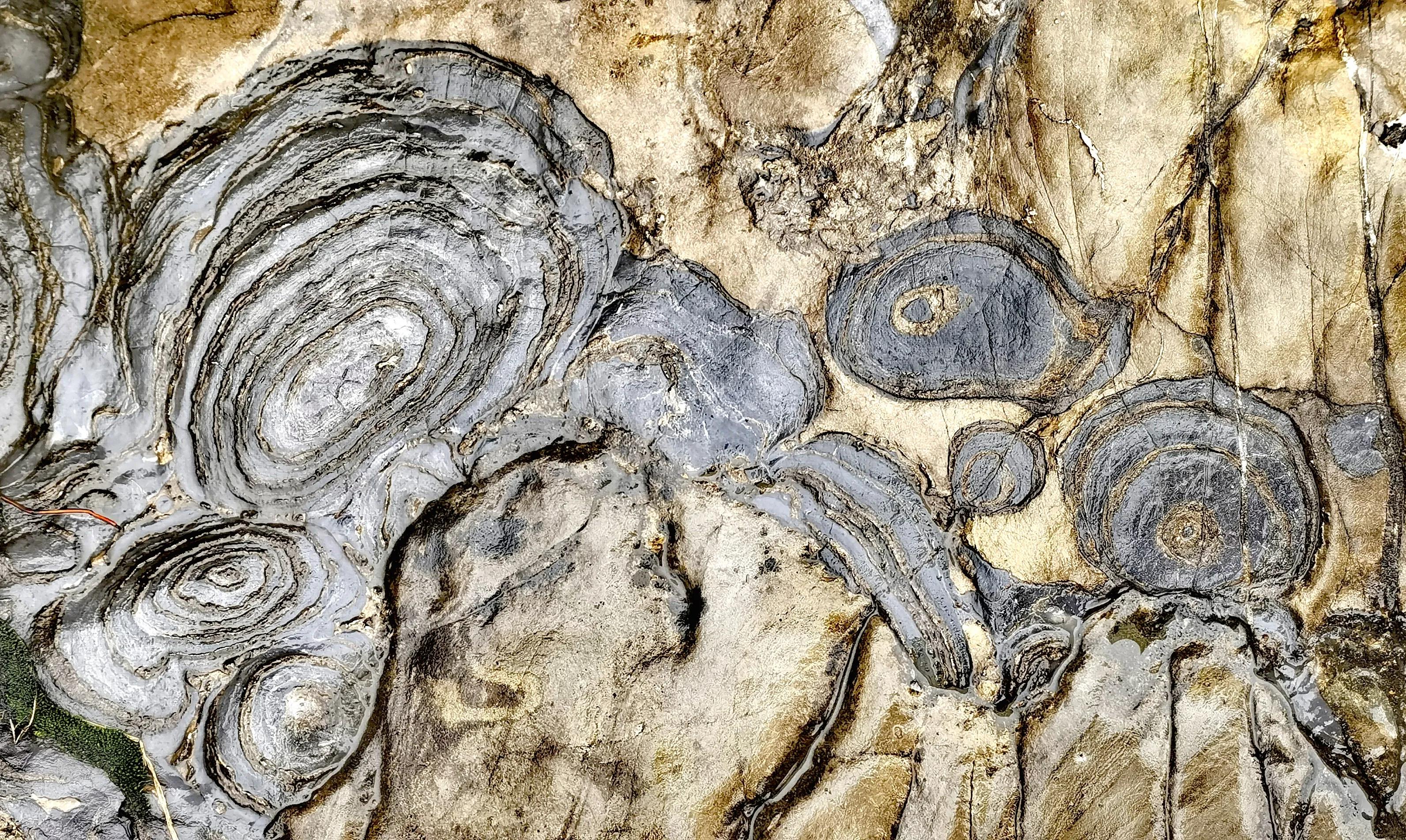 The Earliest Life on Earth_Laminated Fossils - iNEWS