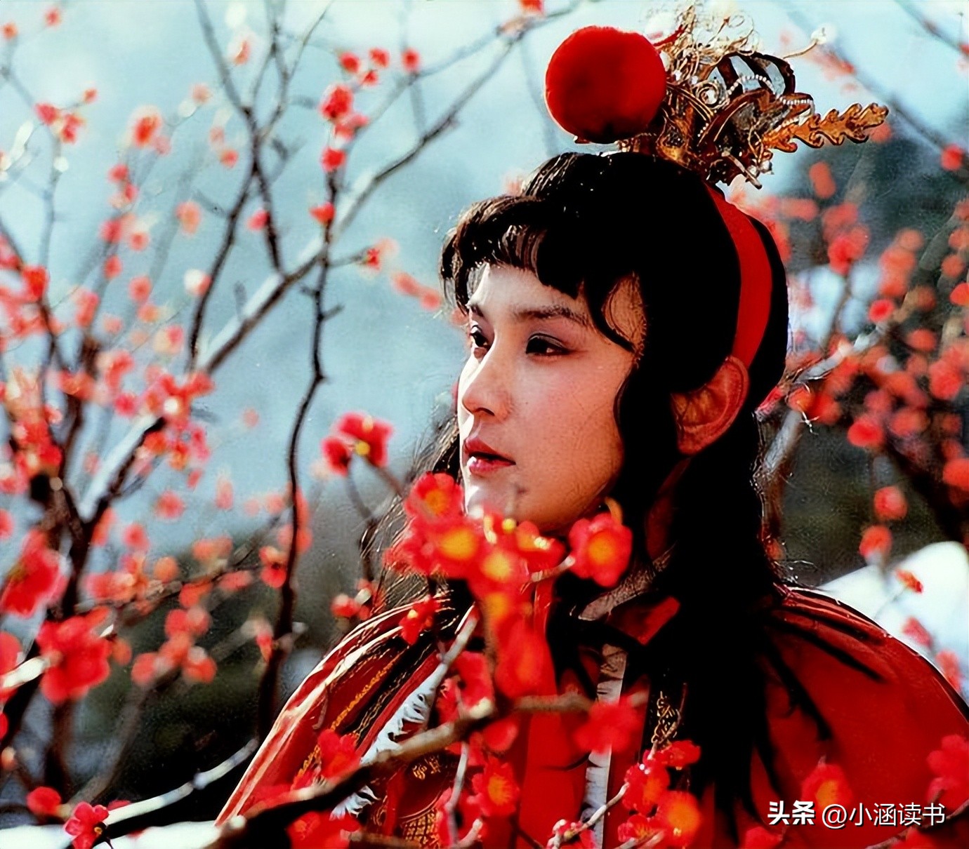 Jia Zheng took Baoyu out as a guest. Why didn't he let Baoyu wear new ...