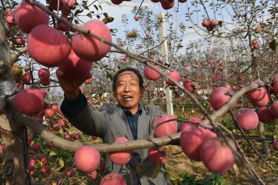 For the 6th time, Yan'an Apple went into space again - iNEWS
