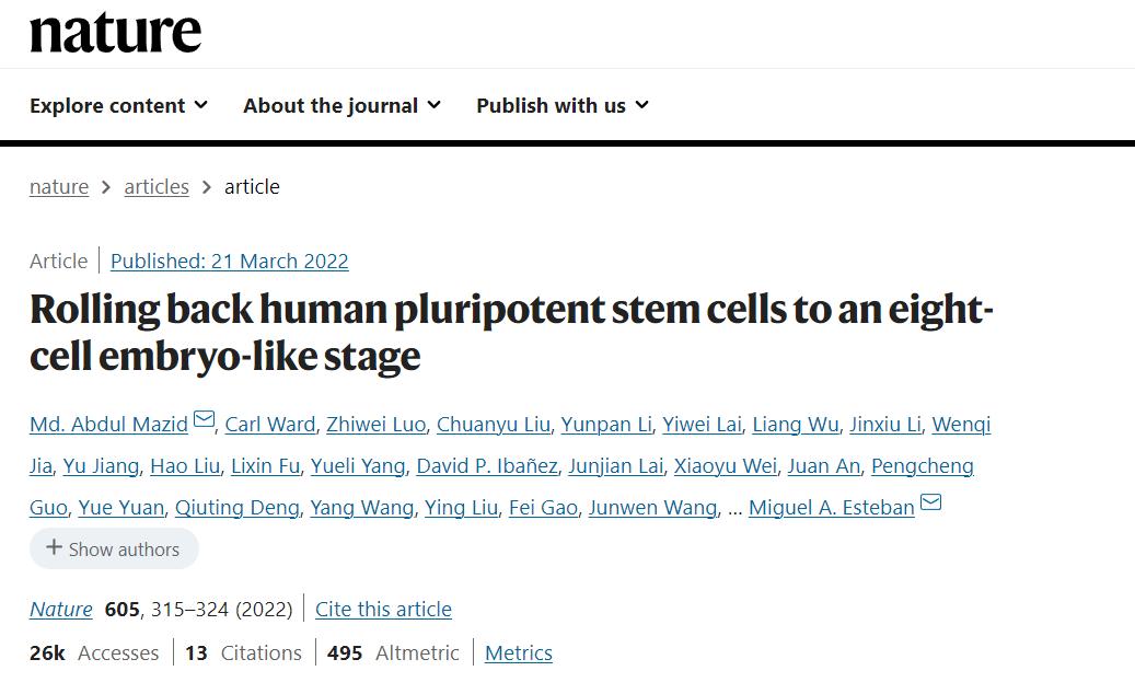 Pluripotent stem cells transformed into true totipotent embryo-like ...